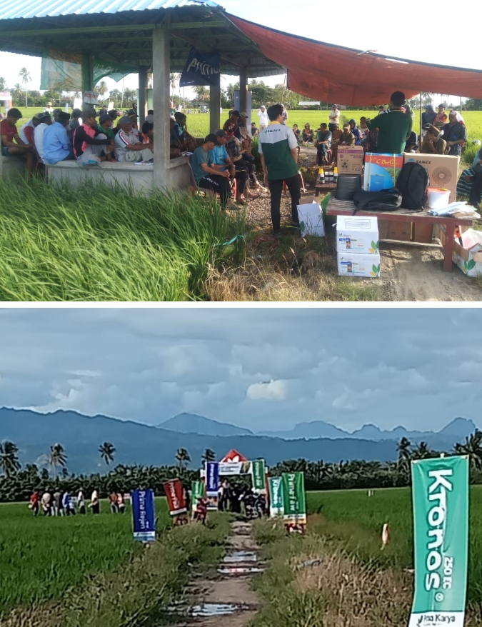 Melalui H.Bahtisr, Petani di Desa Samaenre, Sukseskan Demplot ...